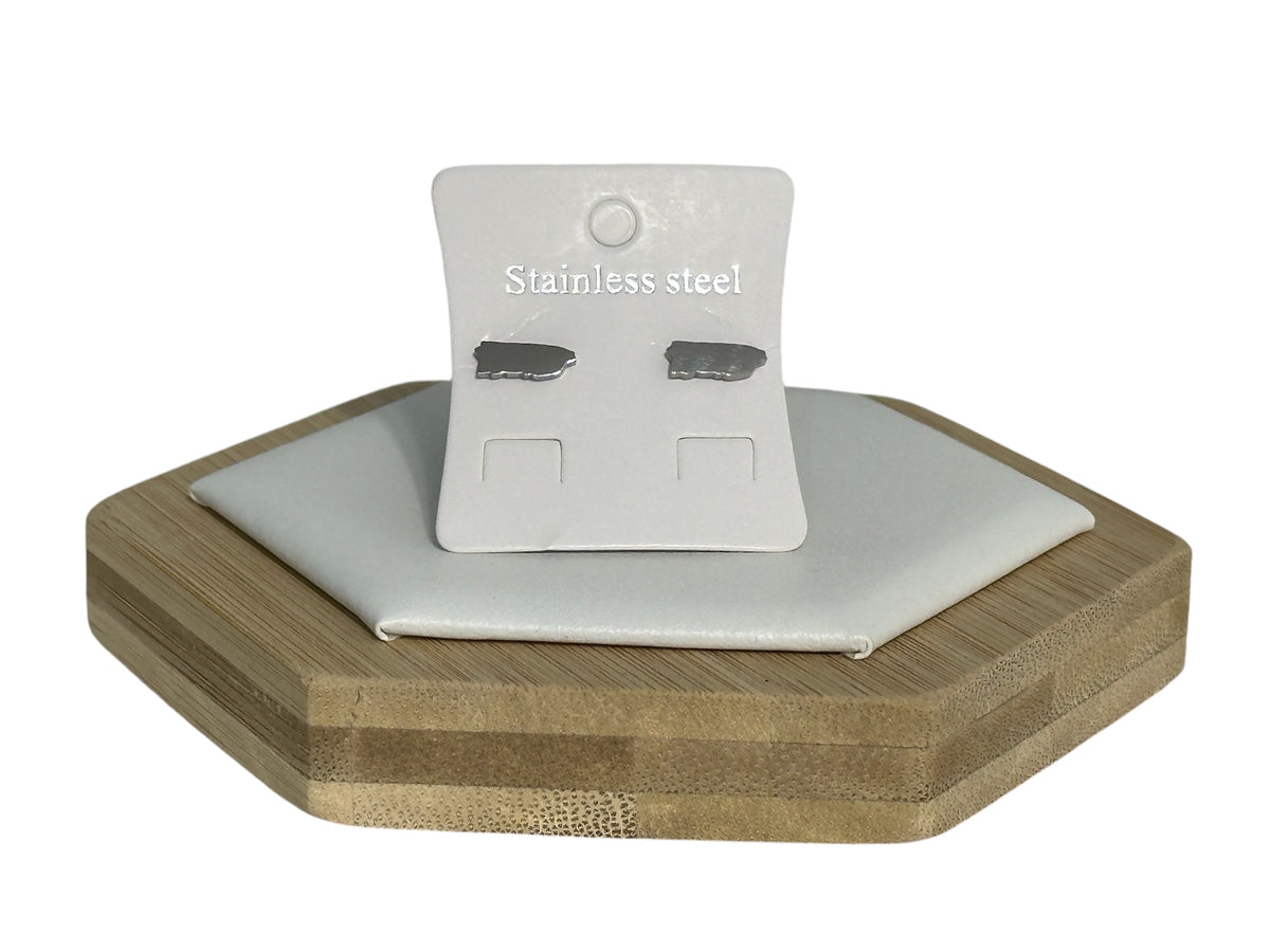 Set Mapa de PR Plateado Flat (Collar y Aretes) – Bisuteria Moderna PR